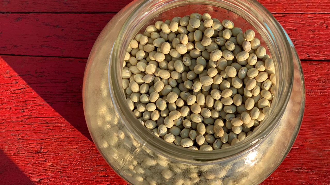 Agatha's Almanac | Hot Docs